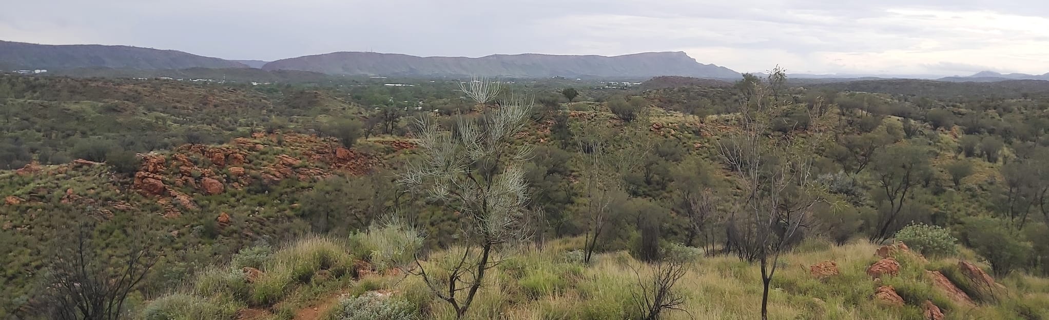 Echidna and Roo Track Loop: 10 foto's - Noordelijk Territorium ...