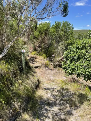 Best Forest Trails in Grootbos Private Nature Reserve | AllTrails