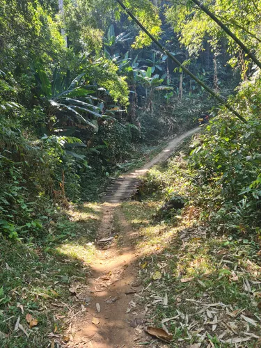 Best Hikes and Trails in Chae Son National Park | AllTrails