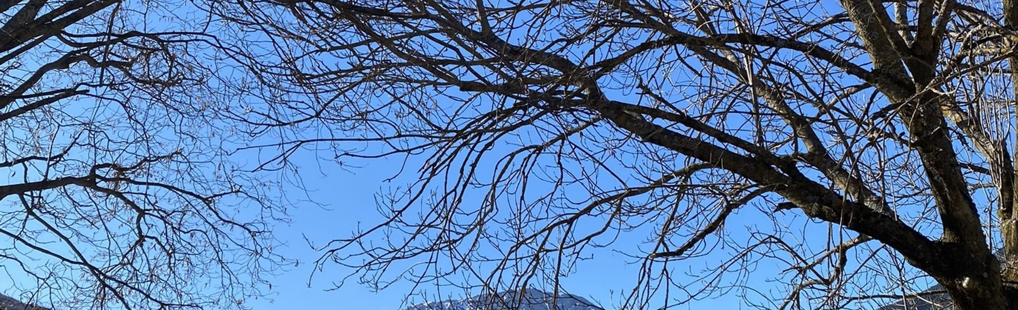 PR-HU 33 Sendero Praus de Cases - Huesca, Spain | AllTrails