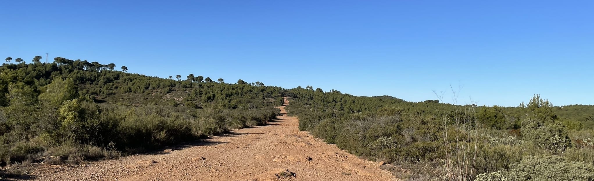 Mirador Rebalsadores vía Camí de la Falaguera, Valencia, Spain - Map ...