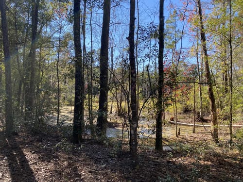 Best Hikes and Trails in Gum Root Park | AllTrails