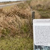 Sheldon Lake State Park Nature Loop, Texas - 187 Reviews, Map | AllTrails