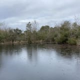Sheldon Lake State Park Nature Loop, Texas - 187 Reviews, Map | AllTrails
