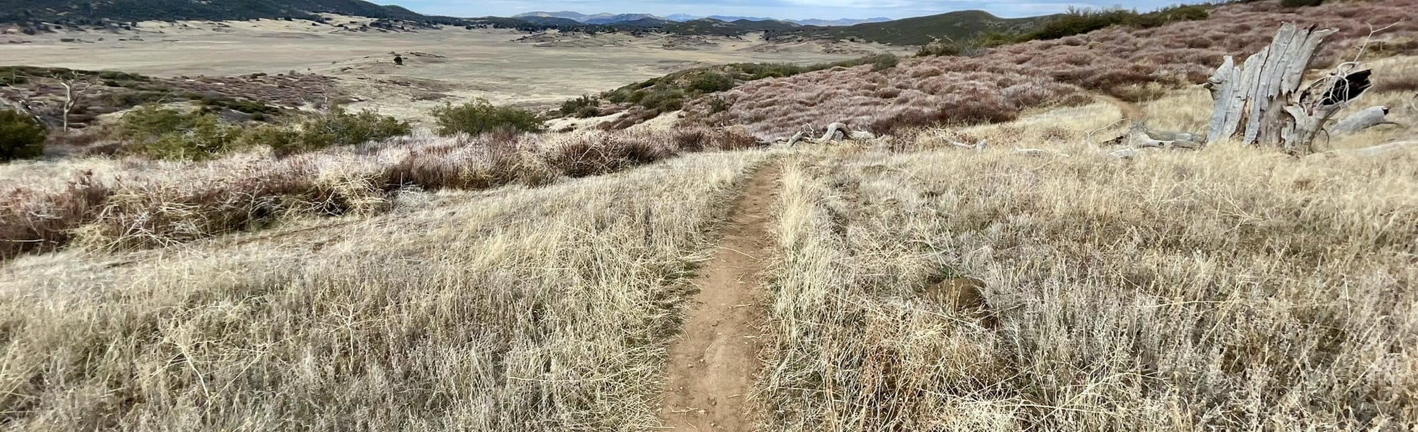 California Riding and Hiking Loop: 60 Reviews, Map - California | AllTrails