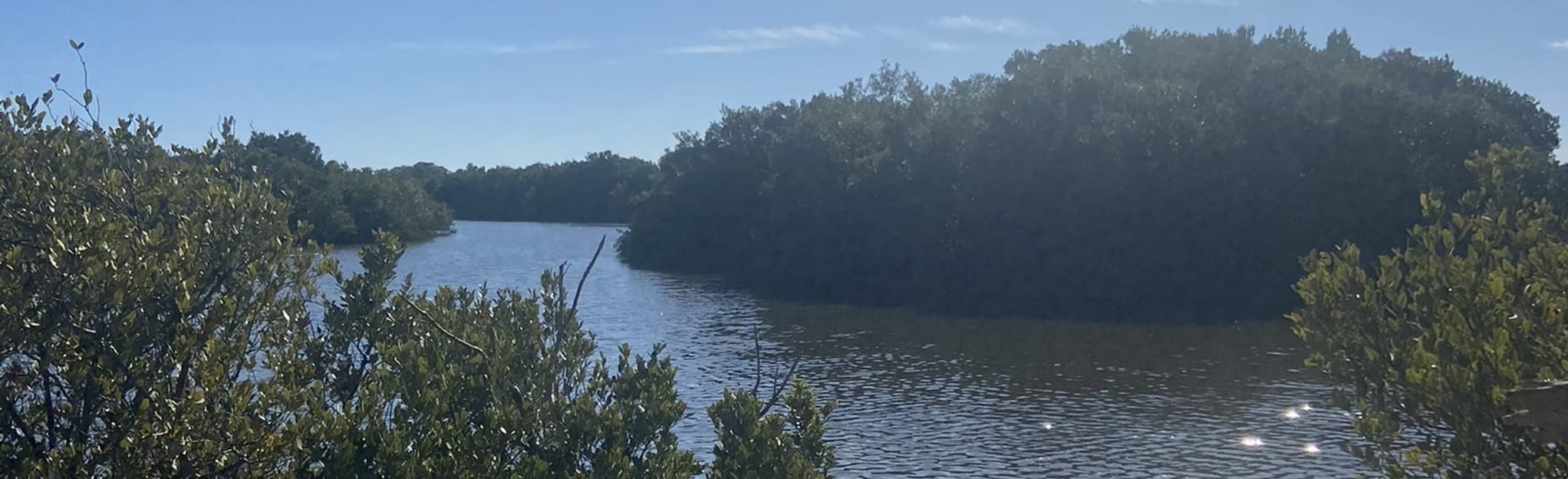 Cedar Key Railroad Trestle Trail, Florida - 67 Reviews, Map | AllTrails