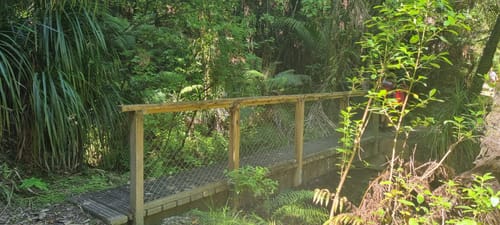 Best 10 Trails and Hikes in Gisborne | AllTrails