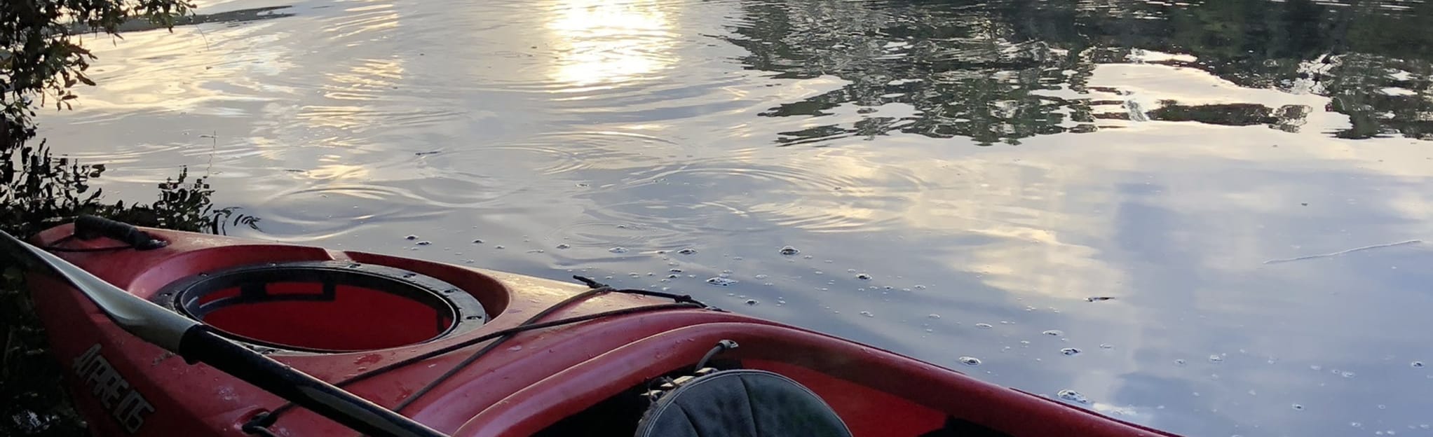 Pieman River Paddle: Lovers Falls: 3 foto's - Tasmanië, Australië ...