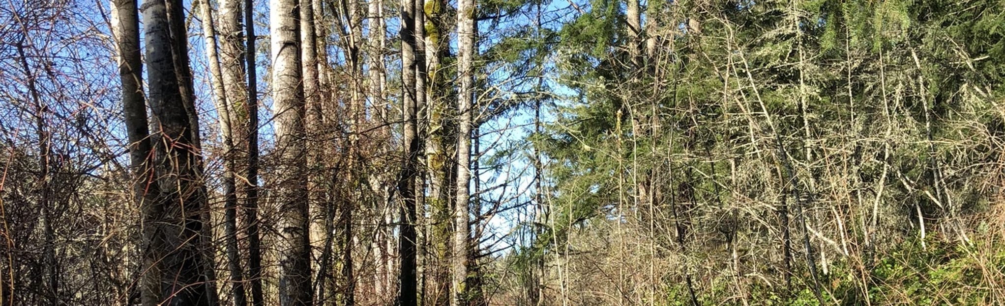 Lazo Marsh Bird Lookout Loop, British Columbia, Canada - 31 Reviews ...