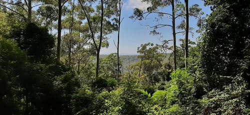Best Hikes and Trails in Jilliby State Conservation Area | AllTrails