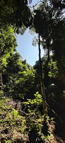 10 Best Hikes and Trails in Jilliby State Conservation Area | AllTrails