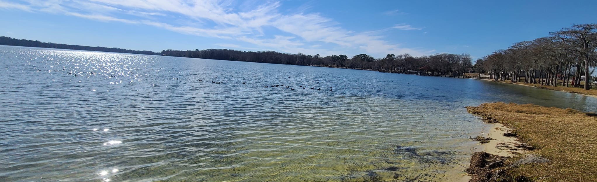 Florala City Park: 22 Reviews, Map - Alabama | AllTrails