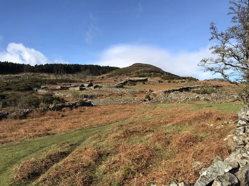 10 Best Trails and Hikes in Carlingford | AllTrails