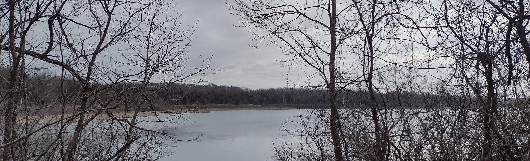 Rutledge Bluff Overlook Trail, Missouri - 26 Reviews, Map | AllTrails