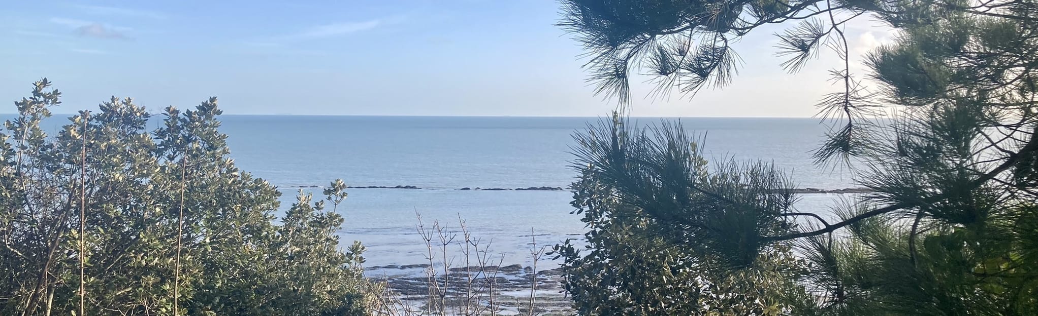 Eastbourne Prom: 39 Reviews, Map - East Sussex, England | AllTrails