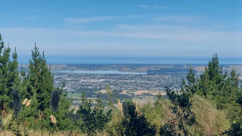 10 Best Trails and Hikes in Levin | AllTrails
