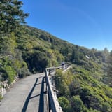 Verna Dunshee Loop, California - 251 Reviews, Map | AllTrails