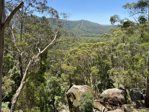 Best Hikes and Trails in Mount Cole State Forest | AllTrails