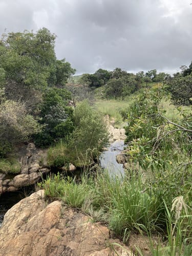 Magaliesberg Biosphere Reserve: de 10 beste wandelingen en routes ...