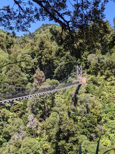 2023 Best Long Trails in Te Kuiti | AllTrails