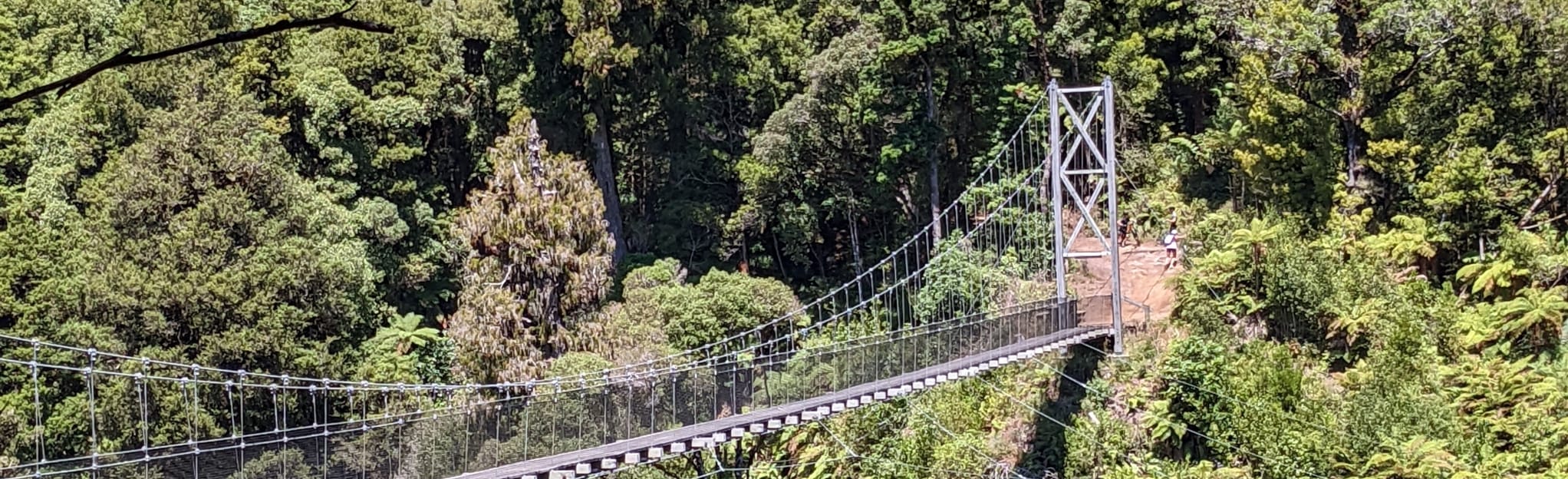 Bog Inn Hut to Piropiro Campsite : 6 Photos - Waikato, Nouvelle-Zélande ...