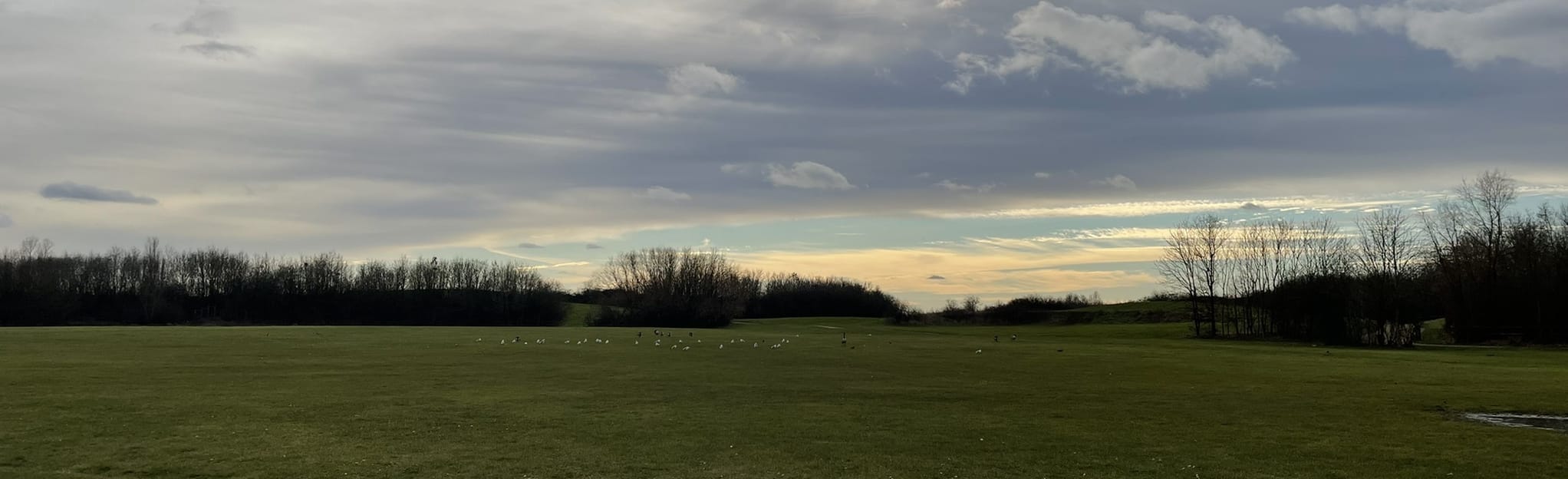 Feltham to Bedfont Lakes Country Park, Surrey, England - 3 Reviews, Map ...