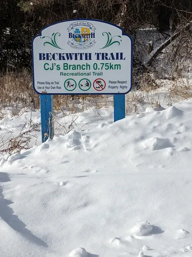 Best Hikes and Trails in Beckwith Park | AllTrails