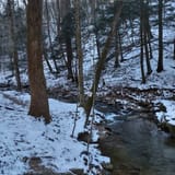 Trout Run Trail, Pennsylvania - 272 Reviews, Map | AllTrails