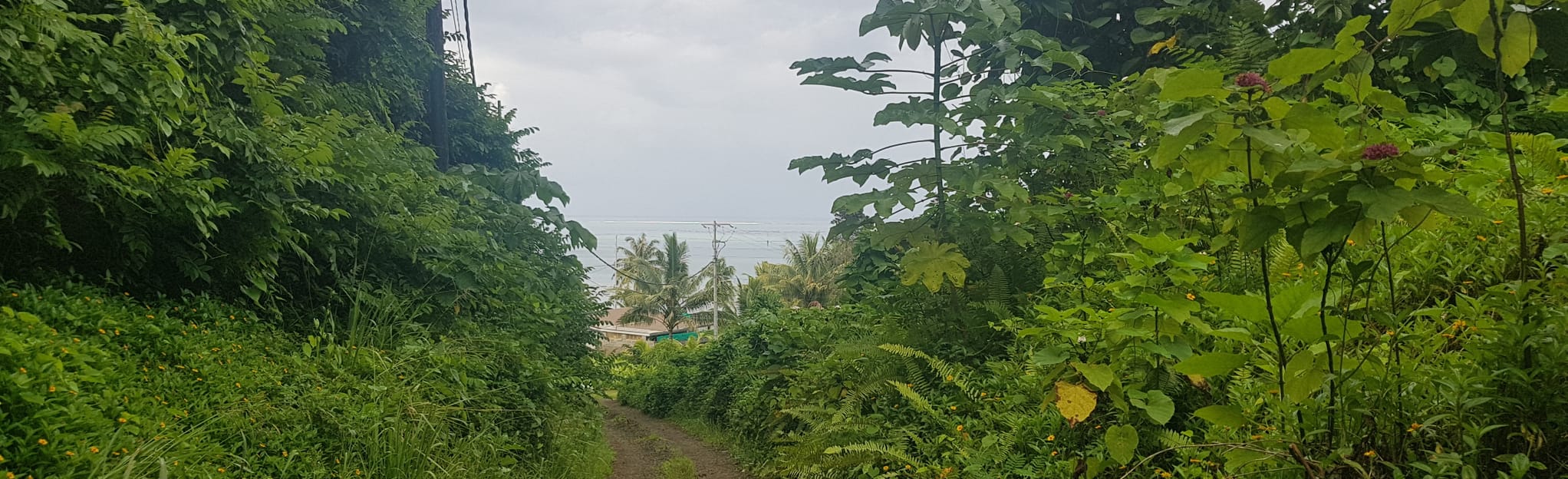 Autour de To'ahotu: 4 Reviews, Map - Tahiti, French Polynesia | AllTrails