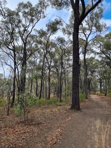 10 Best Hikes and Trails in Greater Bendigo National Park | AllTrails