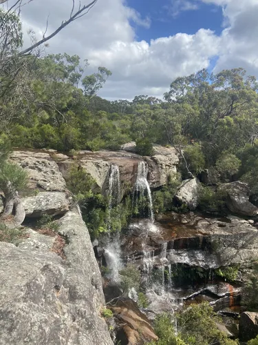 10 Best Hikes and Trails in Dharawal National Park | AllTrails