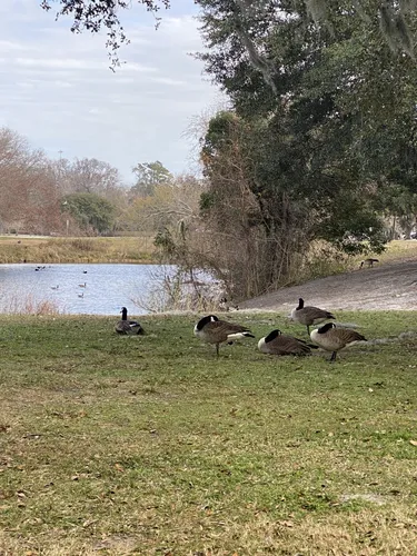 Best Hikes and Trails in Lake Mayer Park | AllTrails