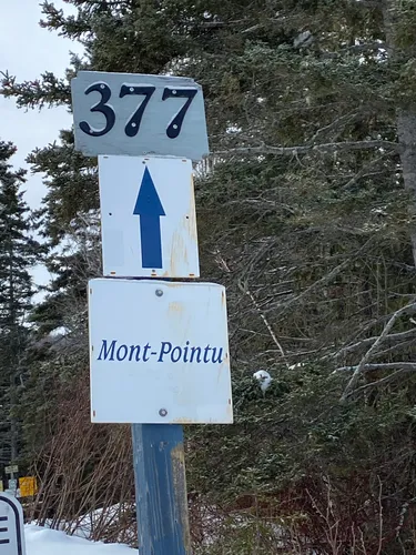 Best Backpacking Trails in Cap-Chat | AllTrails