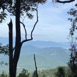 Kledang Hill Loop, Perak, Malaysia - 174 Reviews, Map | AllTrails