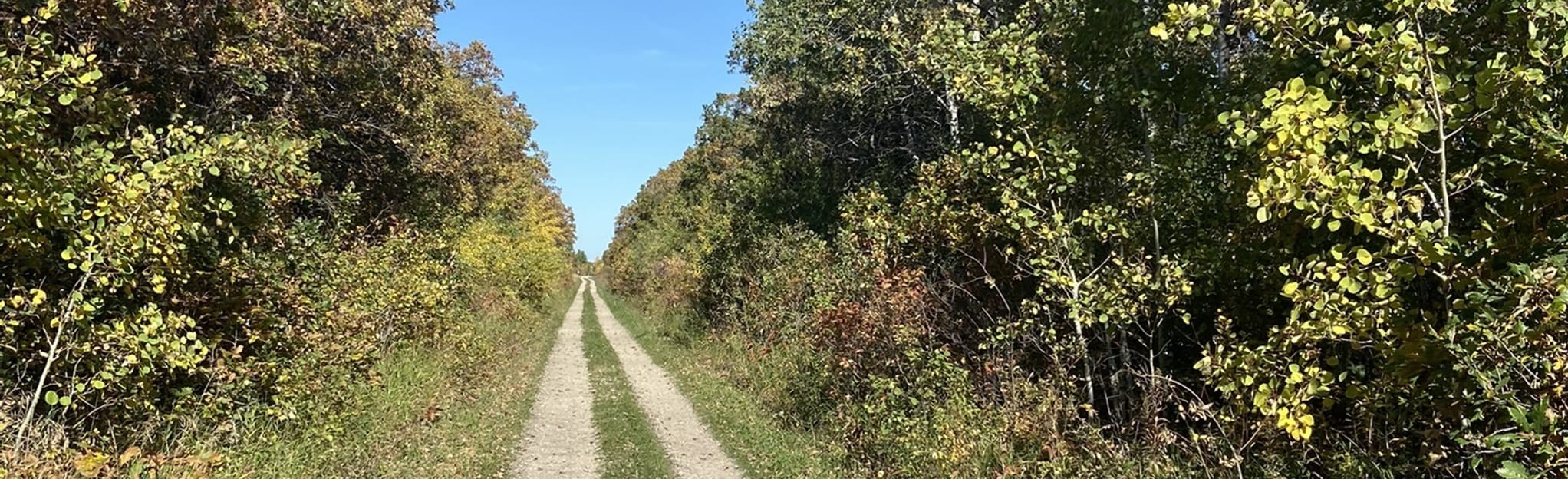 Prime Meridian Trail, Manitoba, Canada - 10 Reviews, Map | AllTrails