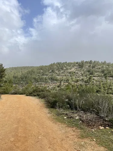 2023 Best Trails, Walks, and Paths in Har Adar | AllTrails
