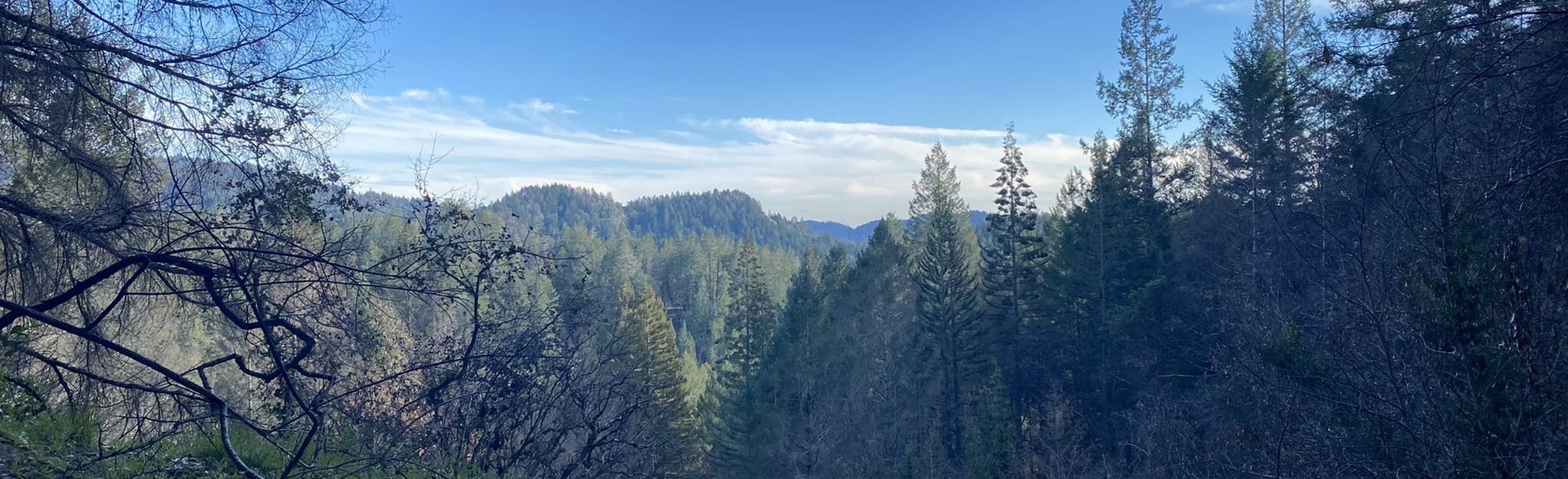 East Ridge and Pool Ridge Short Loop, California - 427 Reviews, Map ...