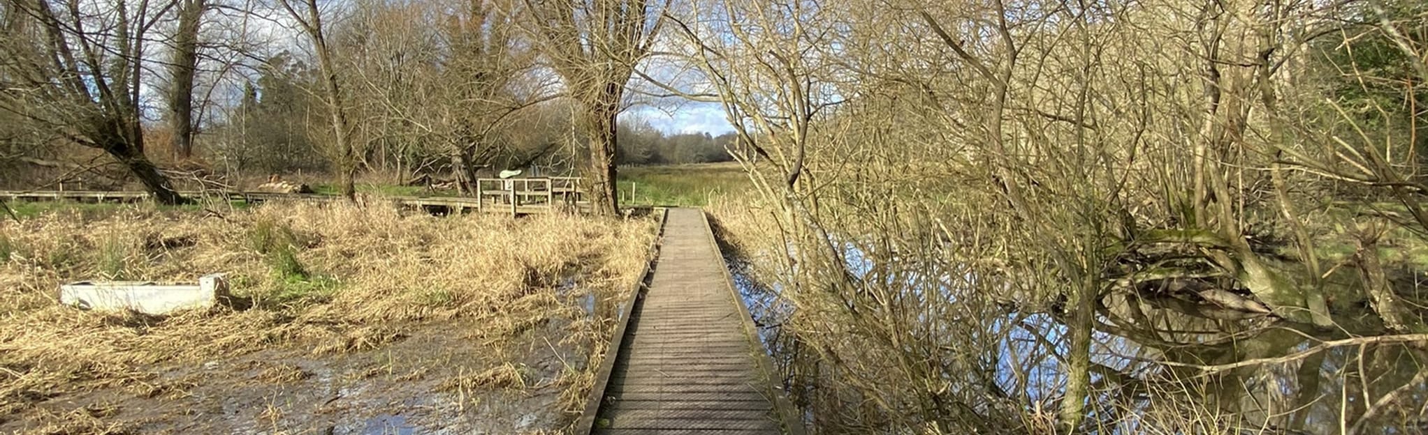 Warnham Local NR Circular: 13 Fotos - West Sussex, Inglaterra | AllTrails