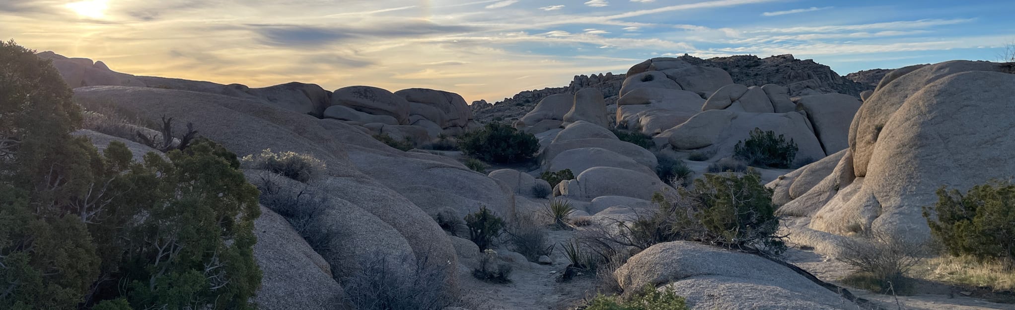 Jumbo Rocks Campground Loop: 130 Reviews, Map - California | AllTrails