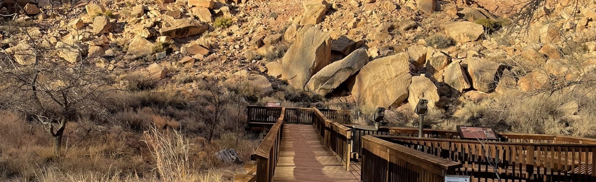 Capitol Reef Petroglyph Trail : 380 Photos - Utah | Randonnée | AllTrails