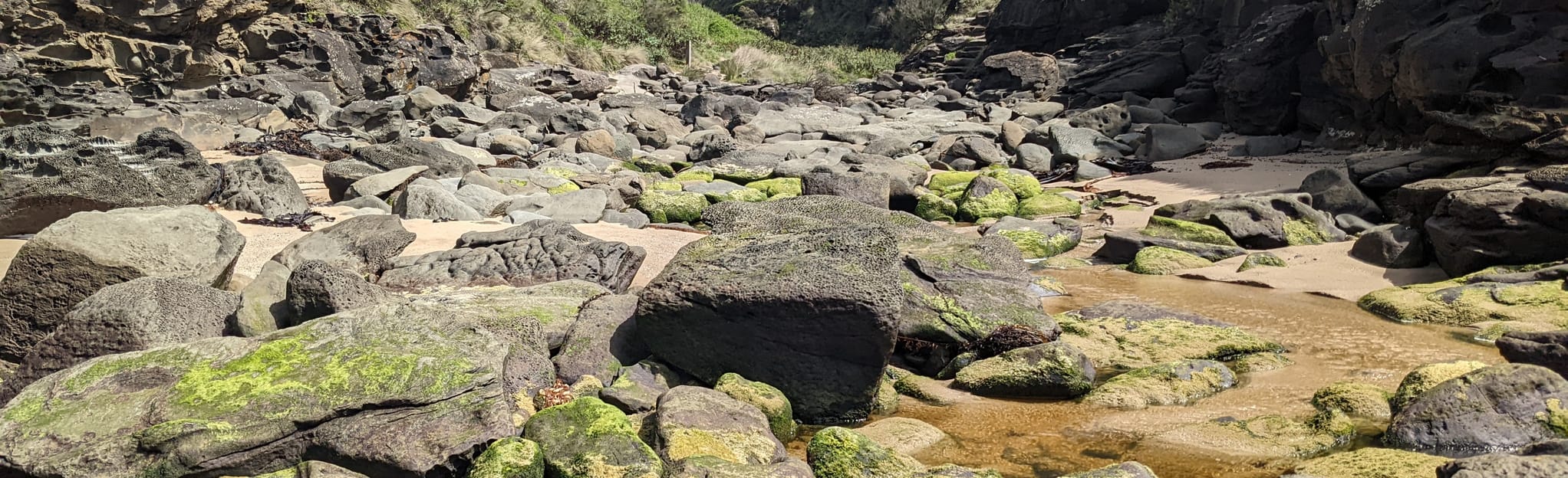 Great Ocean Walk: Elliot Ridge Campsite - Blanket Bay, Victoria ...