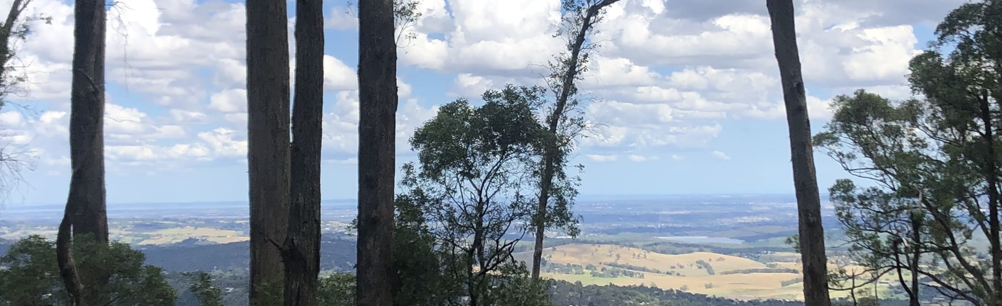Belgrave to Upper Ferntree Gully via Sherbrooke and Tremont: 66 Reviews ...