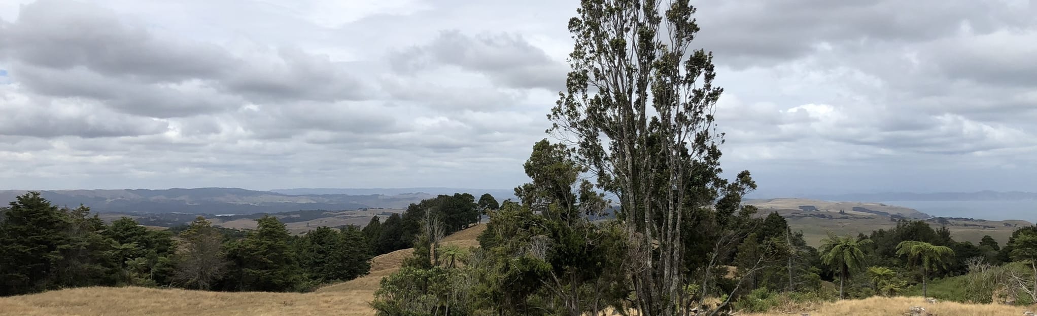 Mount Karioi via Wairake Track: 64 Reviews, Map - Waikato, New Zealand ...