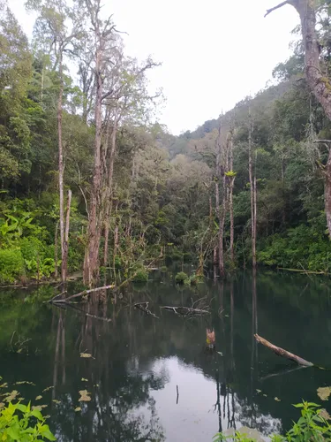 10 Best Trails and Hikes in Bandung | AllTrails