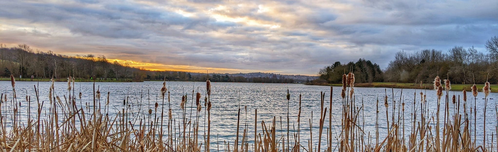 Rother Valley Lake: 241 Reviews, Map - South Yorkshire, England | AllTrails