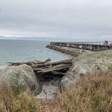 Dallas Road Waterfront Trail, British Columbia, Canada - 431 Reviews ...
