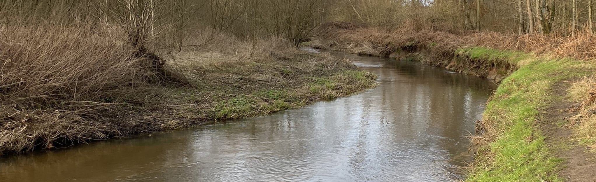 Tilford and Hankley Common Circular, Surrey, England - 115 Reviews, Map ...