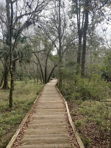 10 Best Hikes and Trails in Goethe State Forest | AllTrails