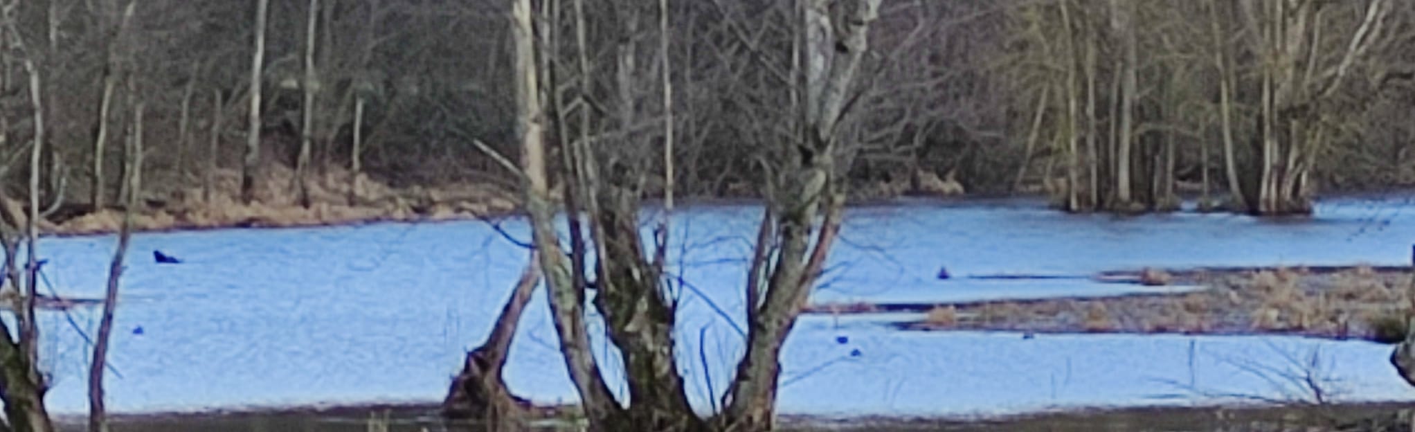 Along the Kinzig between Erlensee and Hanau, Hesse, Germany - Map ...