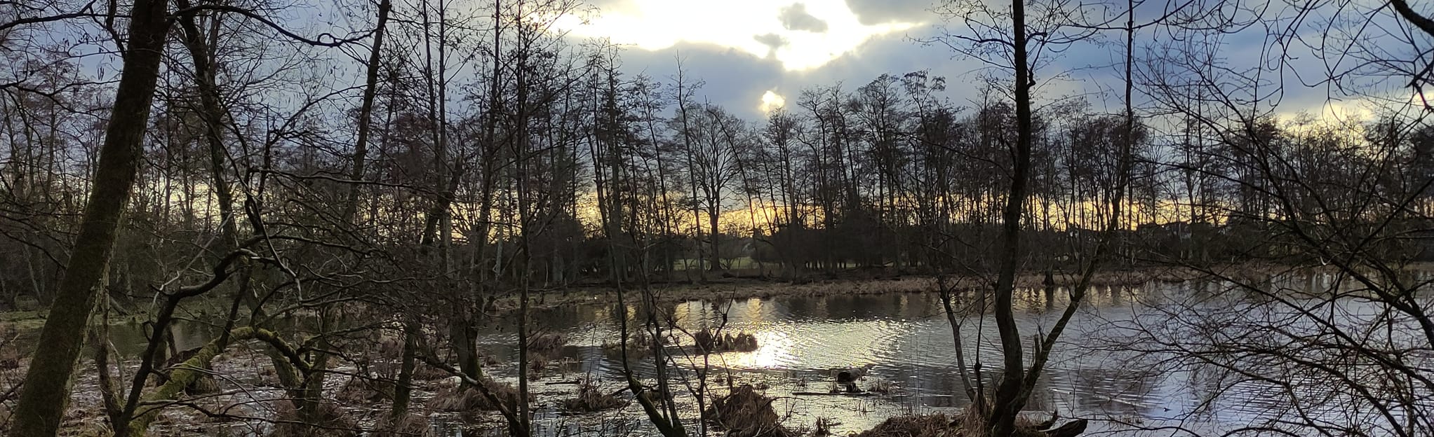 Erlensee - Langenselbold - Kinzigsee, Hesse, Germany - Map, Guide ...